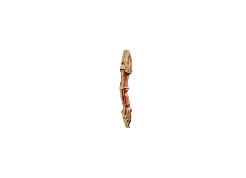 RAGIM ARCO RED FALK | DISPORT