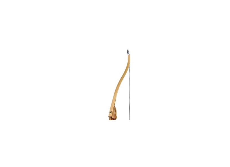 RAGIM ARCO RED FALK | DISPORT