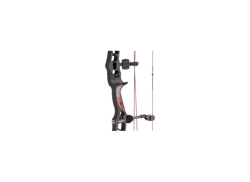BOWTECH INSANITY CPX TARGET | DISPORT