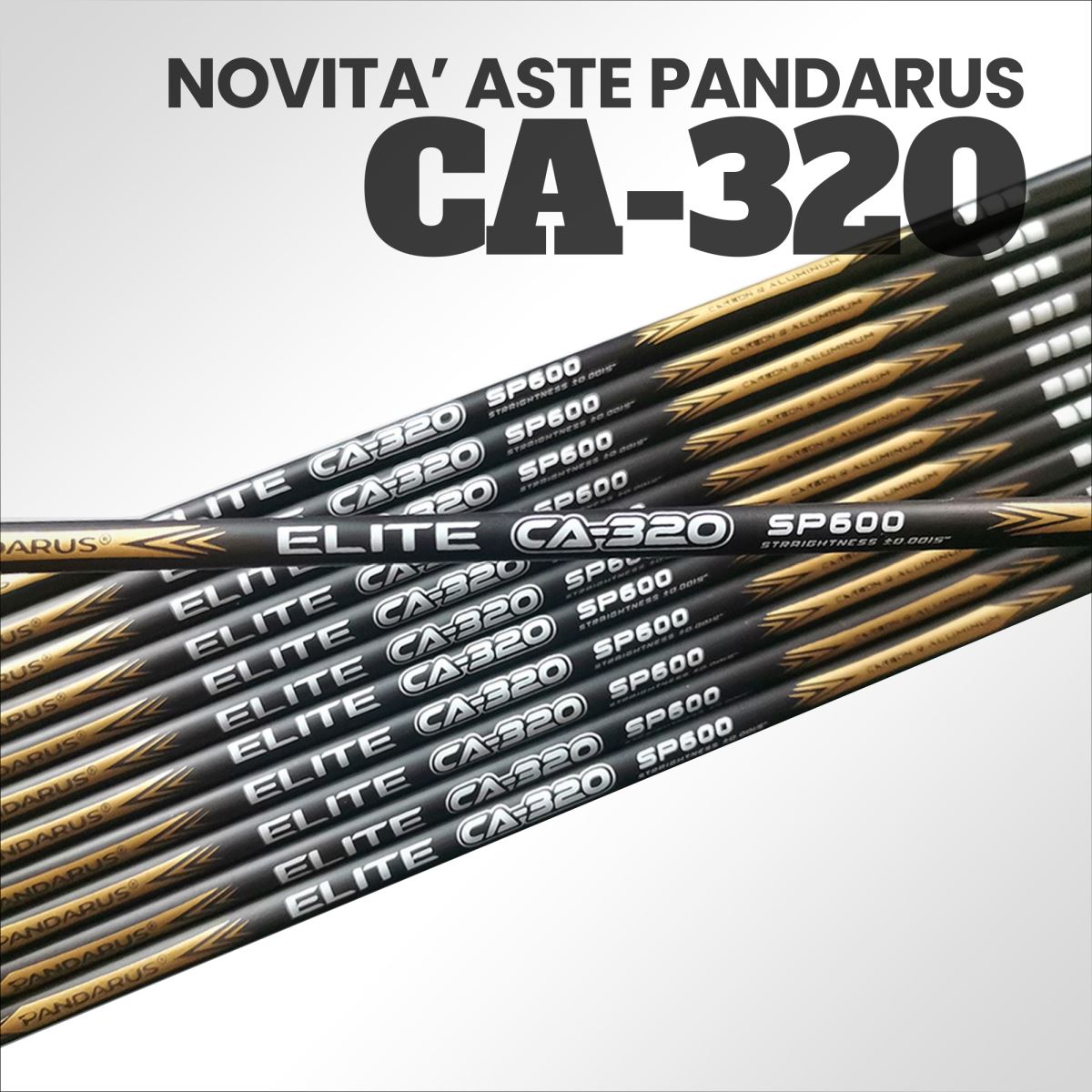 SCOPRI LE NUOVE ASTE IN ALLUMINIO CARBONIO PANDARUS CA320 | DISPORT